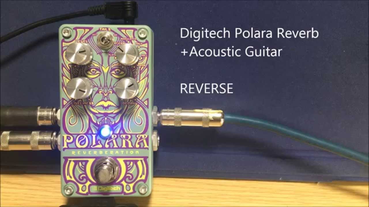 Digitech Polara Reverb+Acoustic Guitar | 酒井 誠・ギタリスト Makoto Sakai